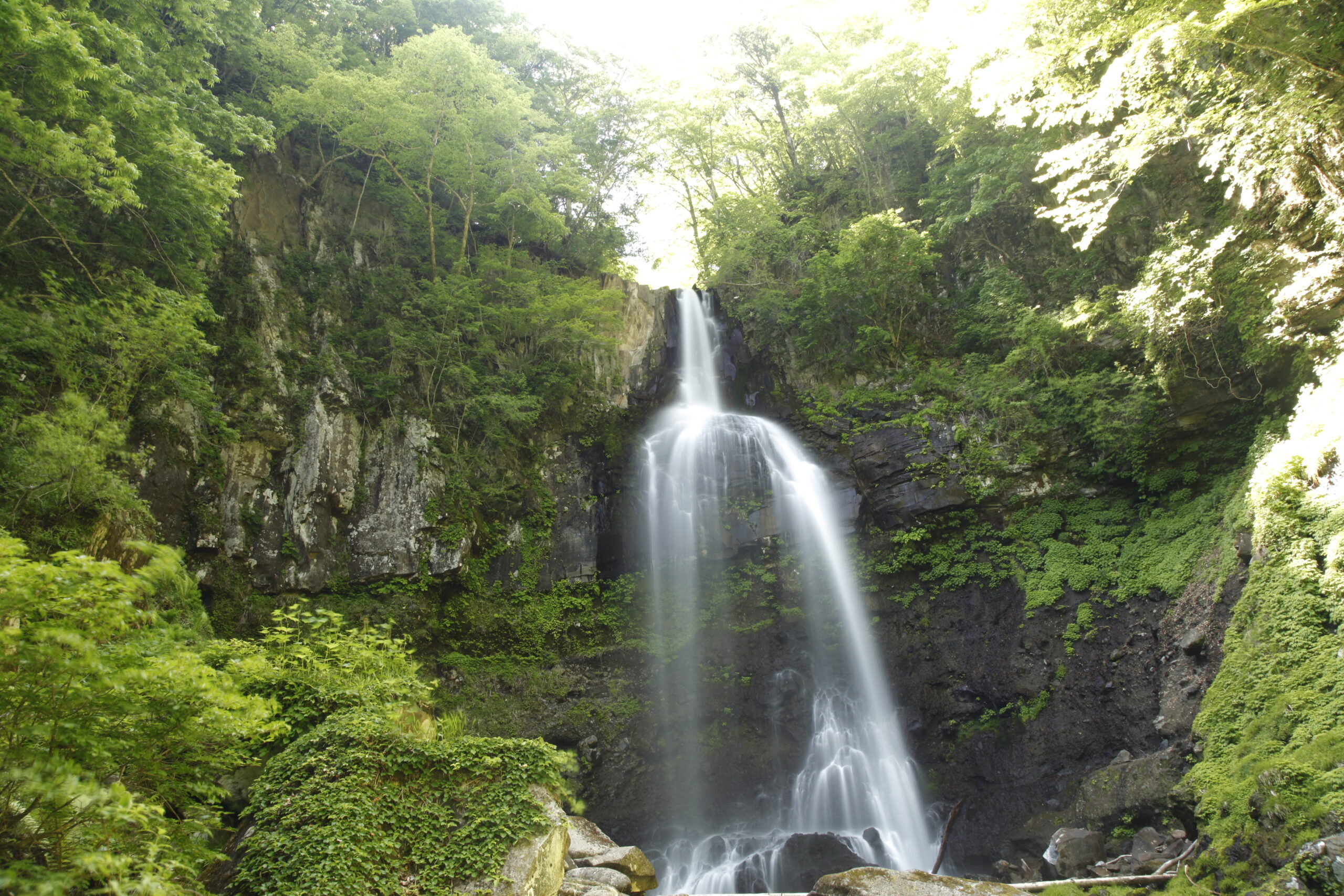 日本産業株式会社